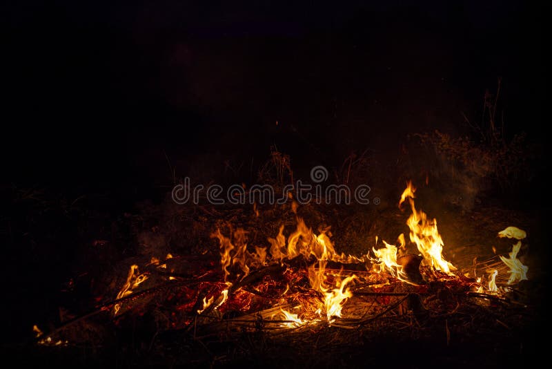 Night Fire Illuminates the Wild Stock Photo - Image of intense ...