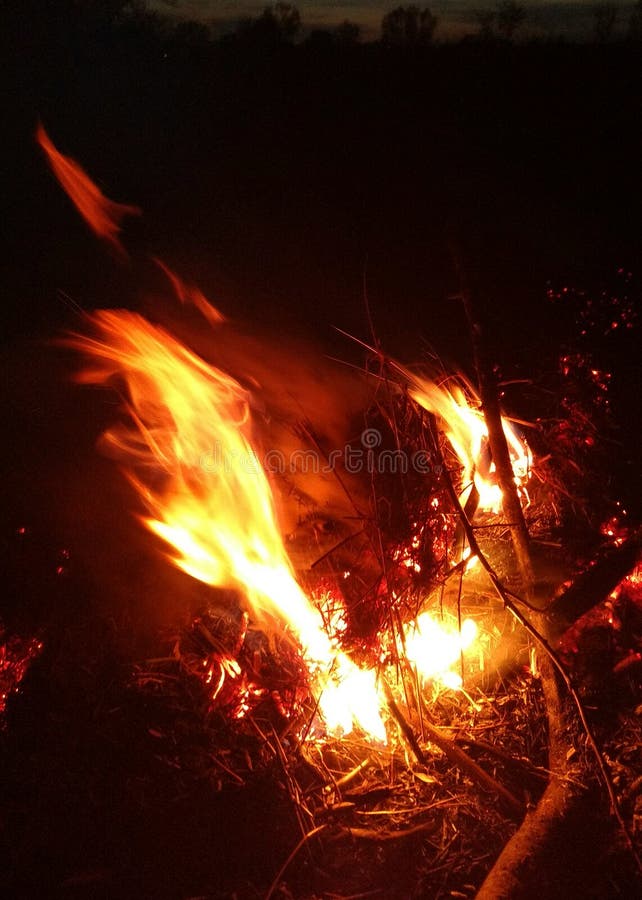 Night fire in the steppe. stock image. Image of night - 110196667