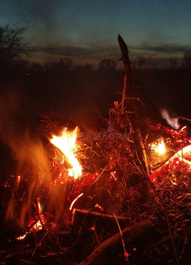 Night fire in the steppe. stock photo. Image of night - 110197242