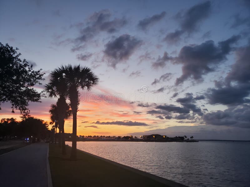 The night florida stock image. Image of night, florida - 163194451