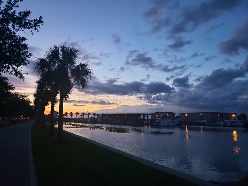 The night florida stock photo. Image of park, skies - 163194616