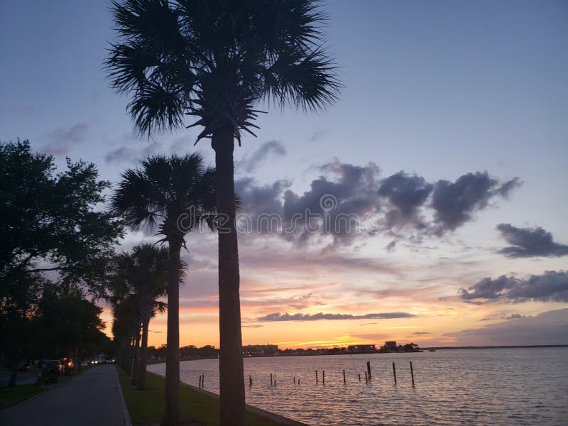 The night florida stock photo. Image of blue, florida - 163194864