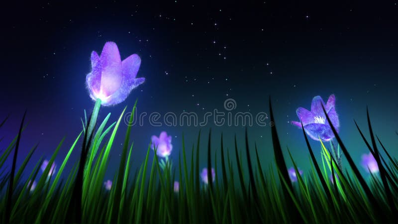 Night forest loop stock video. Video of glowing, purple - 39758279