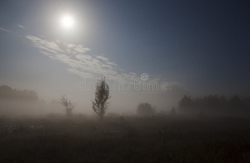 Night fog in the field stock image. Image of moonlight - 32661933