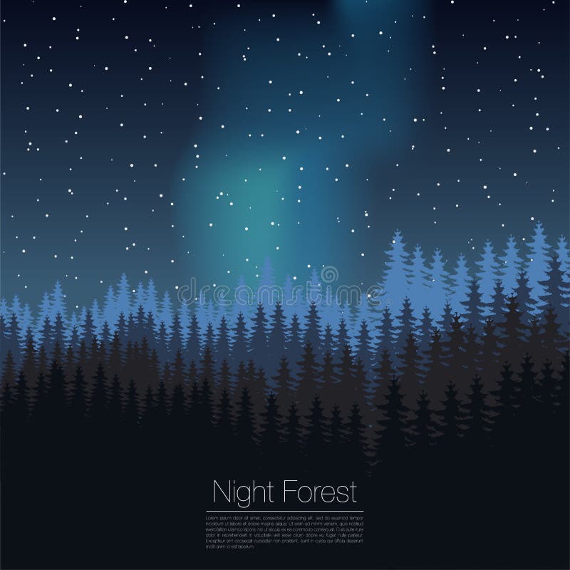 Night Forest Design Template. Vector. Coniferous Forest Silhouette ...