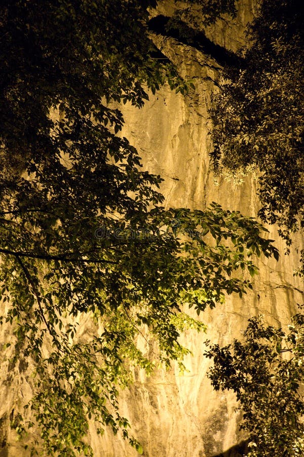 Night Forest with an Enlightened Rock Stock Image - Image of mist ...