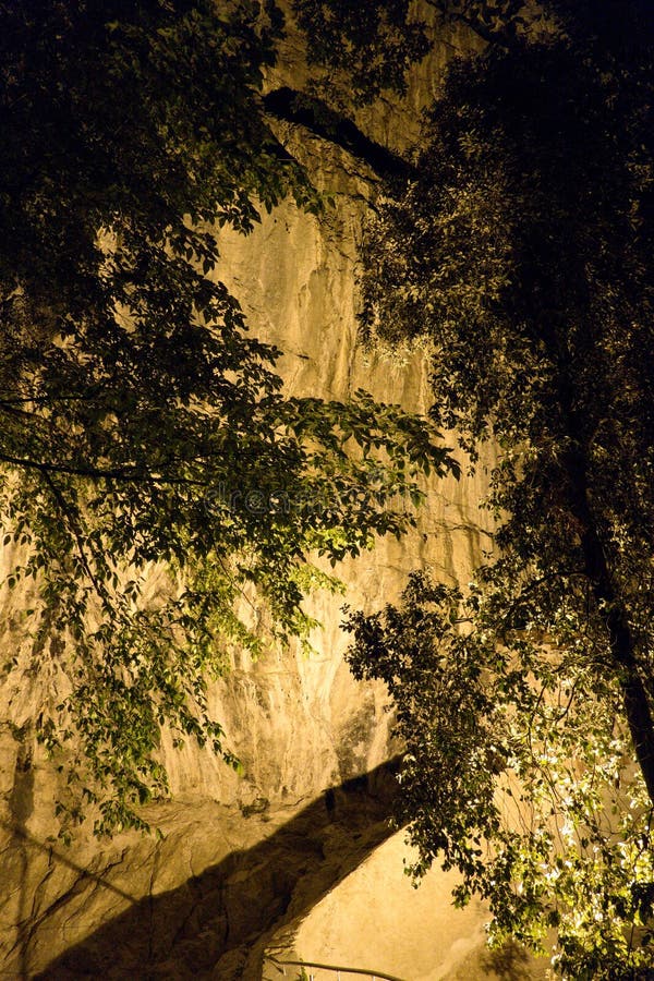 Night Forest with an Enlightened Rock Stock Image - Image of holiday ...