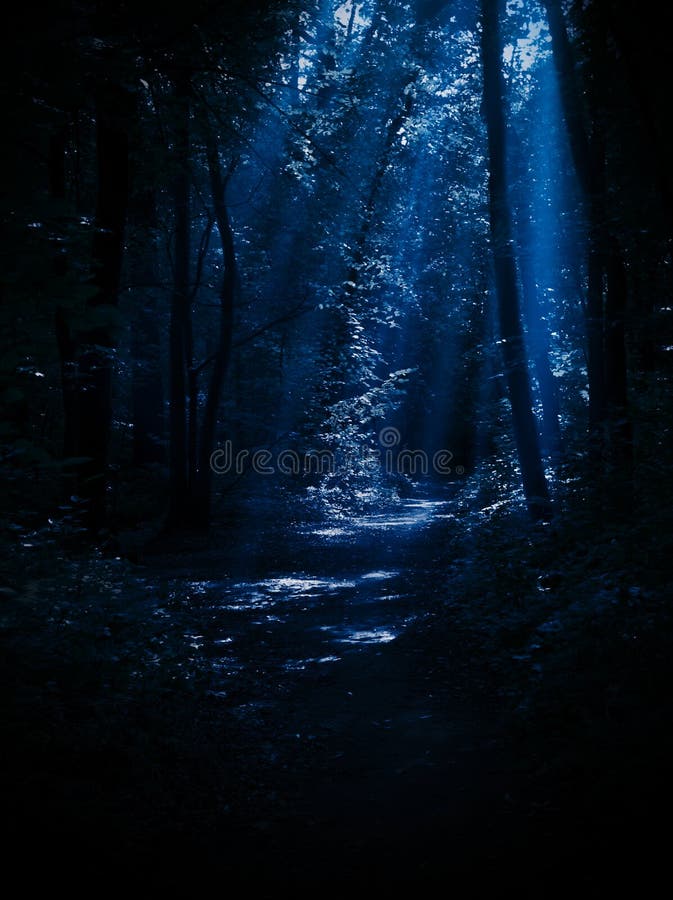 1,234 Moonlight Rays Stock Photos - Free & Royalty-Free Stock Photos ...