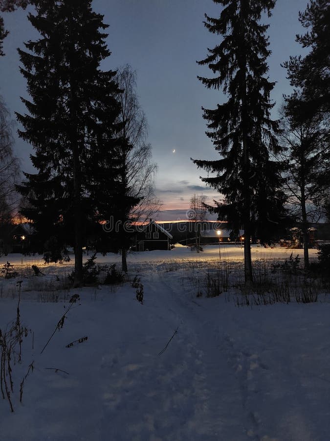 Night Forest Snow Star Sunset Day Dark Sweden Stock Image - Image of ...