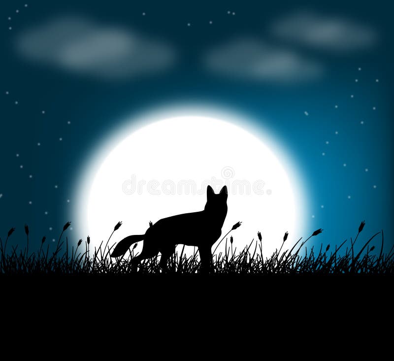 Night and Fox stock illustration. Illustration of night - 46282888