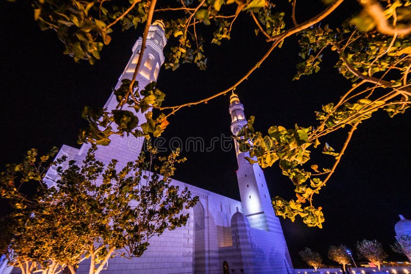 Night Front View among Trees of the Illuminated.Mohammed Al Ameen ...