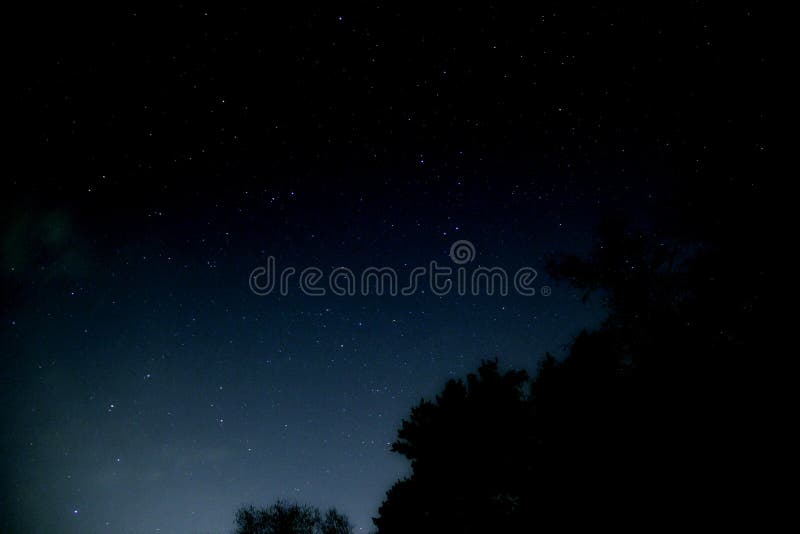 Night Full of Stars Behind the Trees Stock Image - Image of north ...
