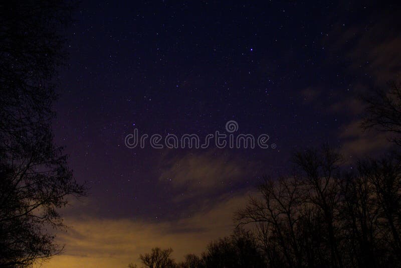 Night Full of Stars Behind the Trees Stock Photo - Image of relaxation ...