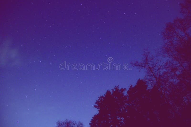 Night Full of Stars Behind the Trees Stock Photo - Image of milky ...