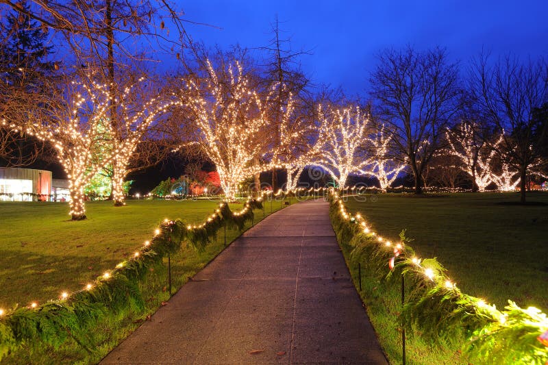 Night lights of trees stock image. Image of illumination - 37762735