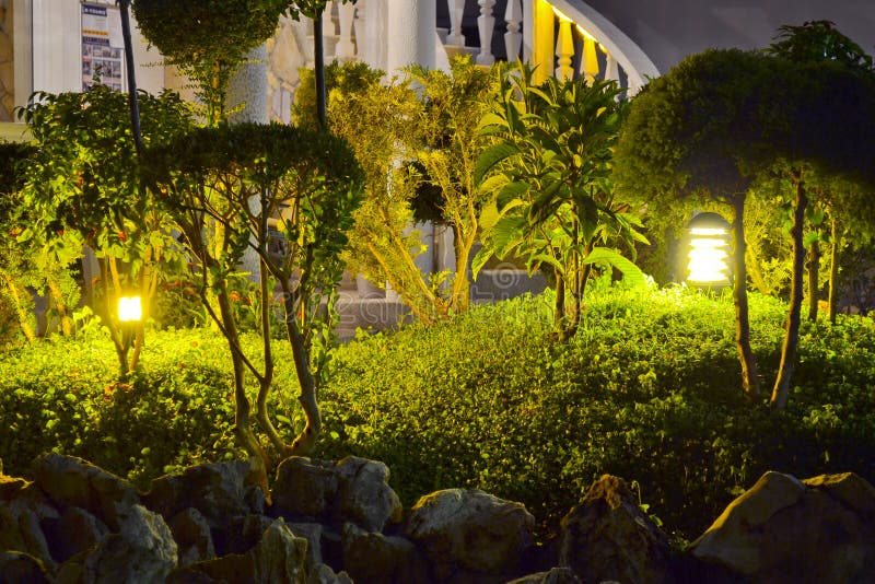 Night garden. stock image. Image of high, curve, nature - 21400417