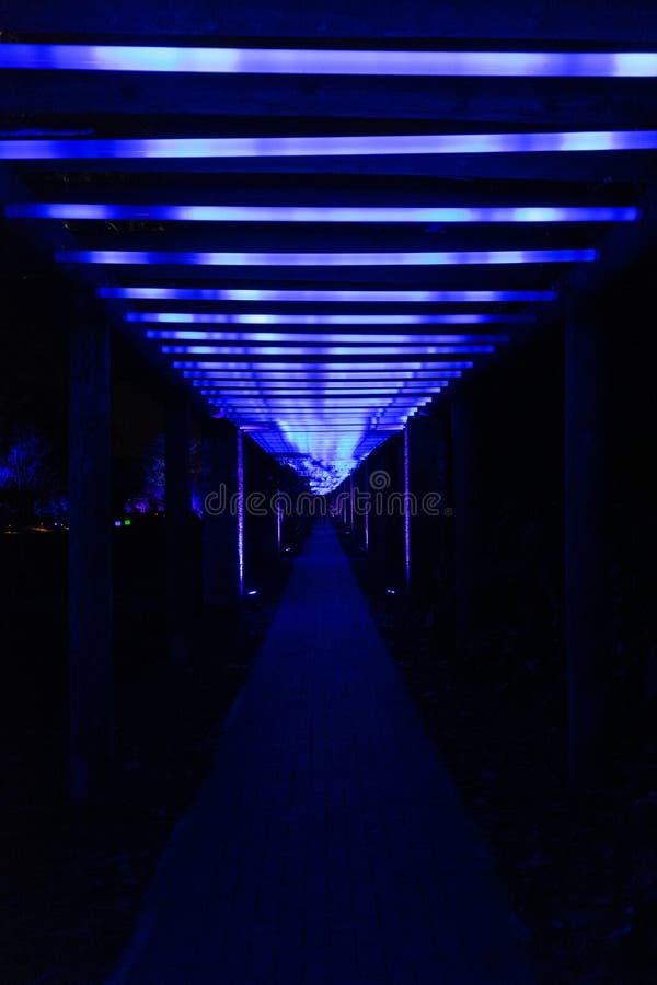 Night Garden Blue Walkway Path Nighttime Coral Gables Florida Stock ...