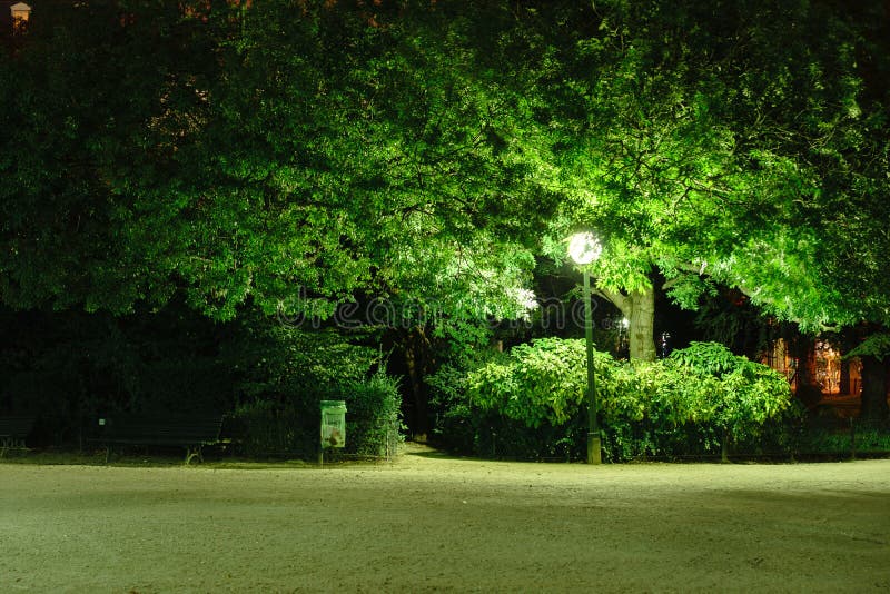 90,303 Night Garden Photos - Free & Royalty-Free Stock Photos from ...