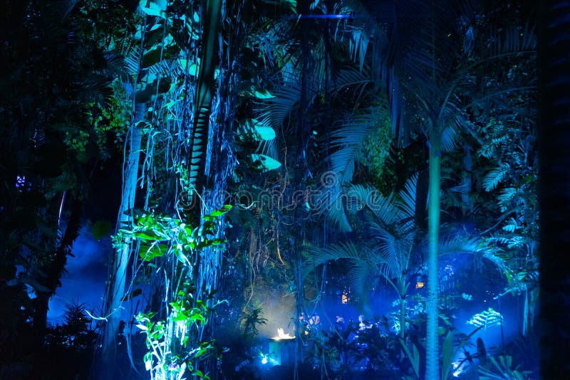 Night Garden Blue Walkway Path Nighttime Coral Gables Florida Stock ...