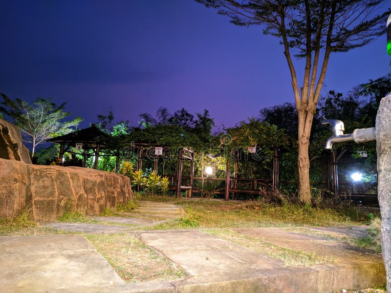 Night garden shot stock image. Image of night, property - 200657859