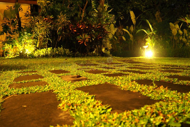 Night garden stock image. Image of illuminated, dark - 70936909