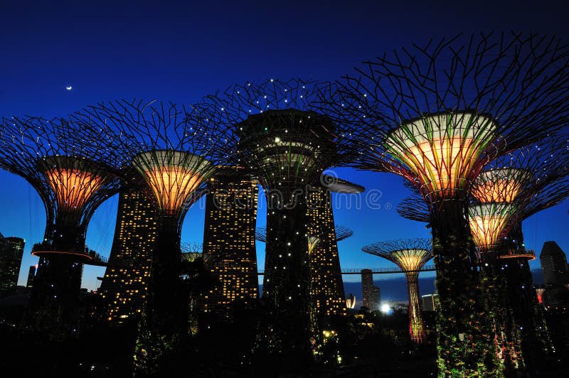 Night at Gardens by the Bay Stock Image - Image of skyline, reflection ...