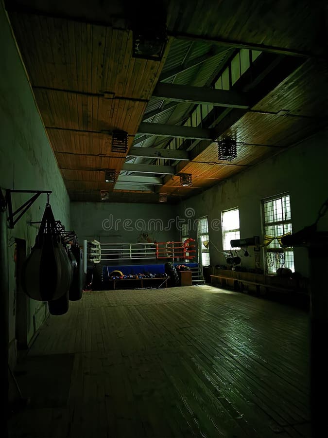 Night in the gym stock photo. Image of hearts, brave - 212438486