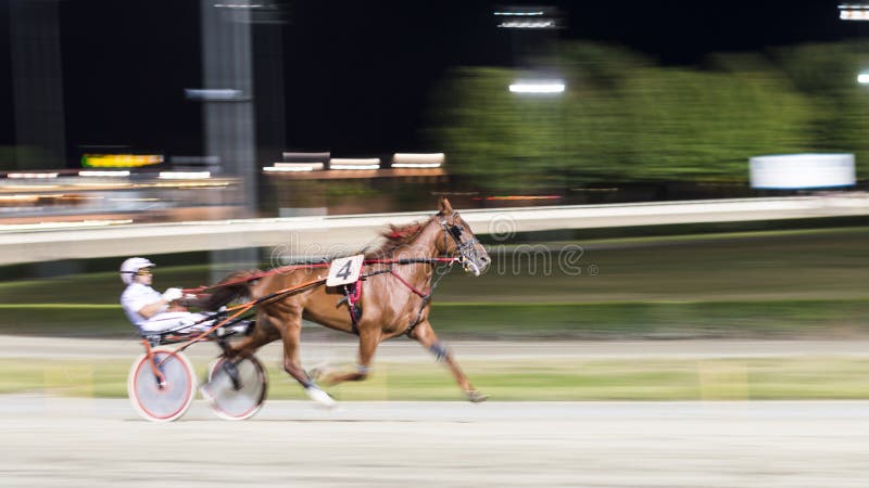 Night horse race course stock photo. Image of europe - 83277290