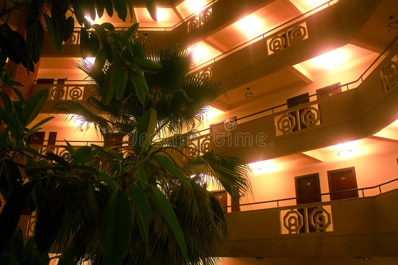 Night Hotel with Palm Trees Inside Shined Stock Photo - Image of hotel ...