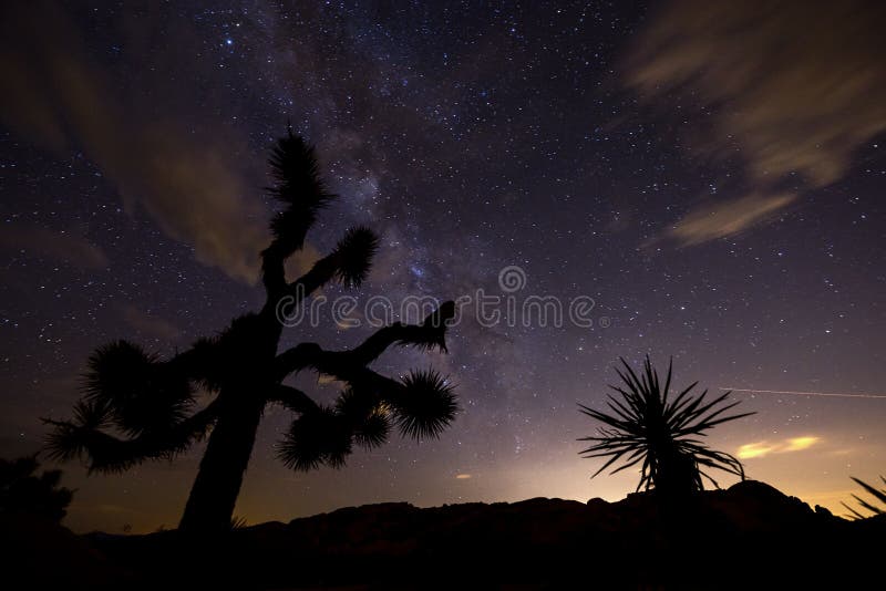 Night in Joshua Tree National Park Stock Image - Image of mojave, long ...