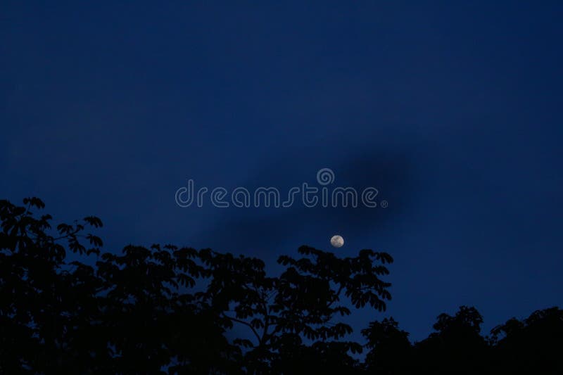 Monn stock photo. Image of moonlight, night, tree, monn - 280943424