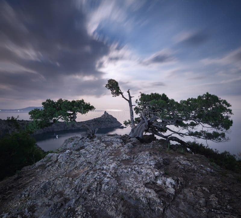 Night Landscape with Beautiful Tree at Mountains with Moonlight Stock ...