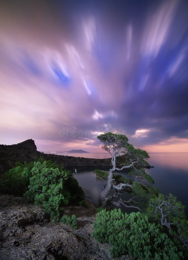 Night Landscape with Beautiful Tree at Mountains with Moonlight Stock ...