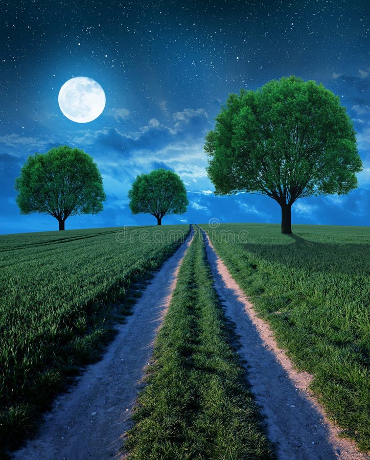 Night Landscape with Dirt Road Stock Photo - Image of track, dirt: 84345080