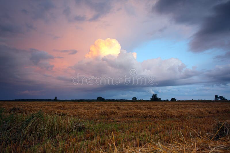 Night Landscape with the Field Stock Photo - Image of agriculture ...