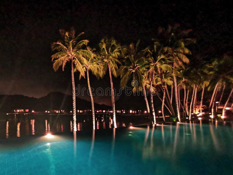 705 Infinity Pool Night Stock Photos - Free & Royalty-Free Stock Photos ...