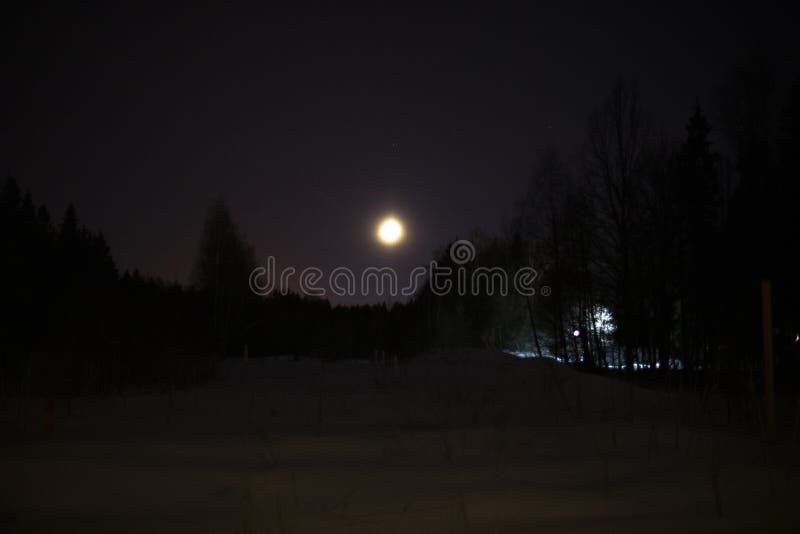 Night Landscape with Moon. Details of Landscape at Night Stock Photo ...