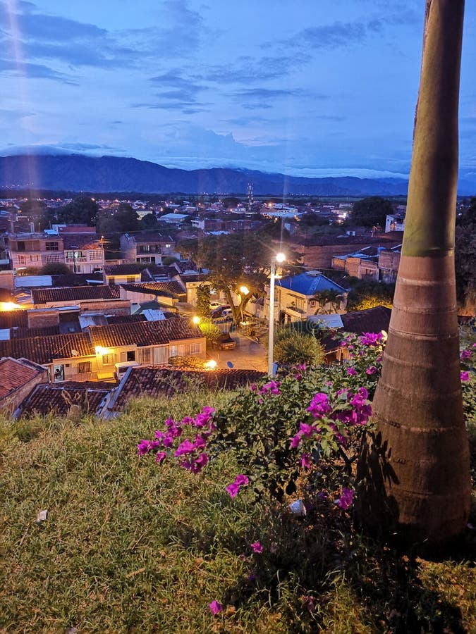 Zarzal Stock Photos - Free & Royalty-Free Stock Photos from Dreamstime