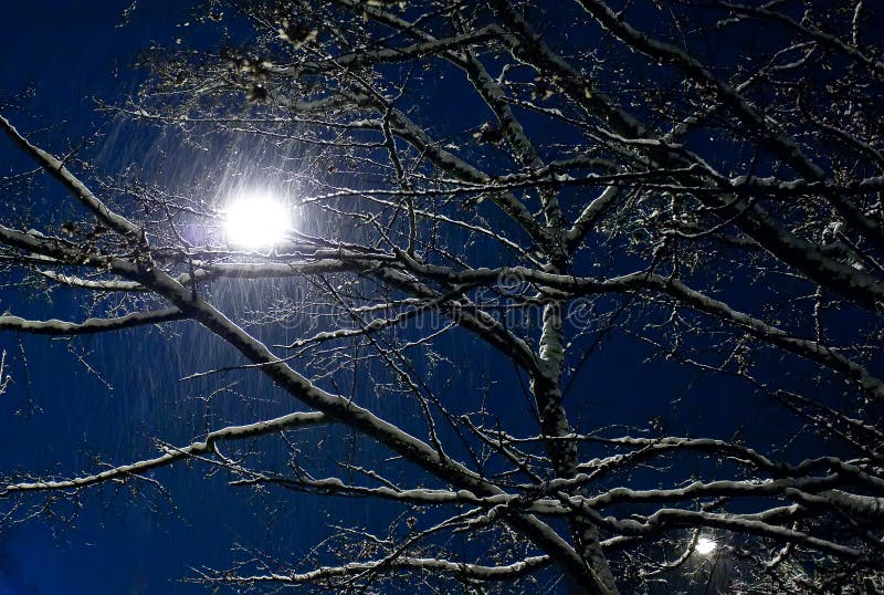 Night Landscape with Snowfall Stock Image - Image of lantern, moon ...