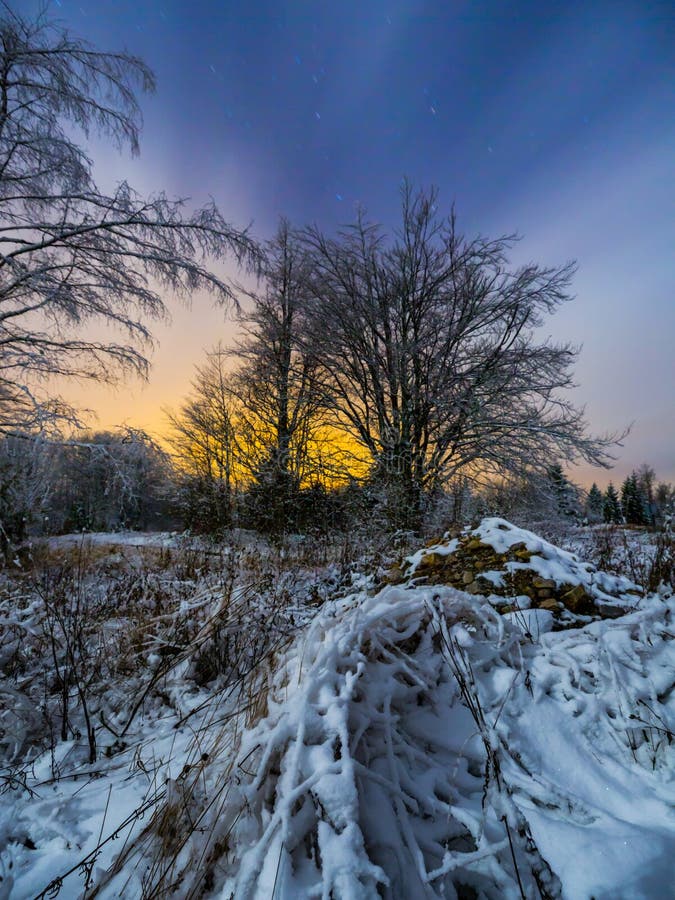Night Landscape Snowscape Long Exposure Stock Image - Image of forest ...