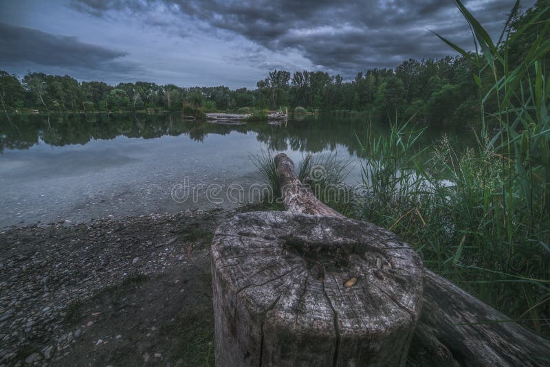 Tree Stump by the Lake stock image. Image of rusovce - 123439941