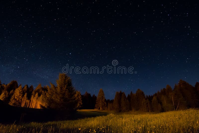 31,757 Starlight Stock Photos - Free & Royalty-Free Stock Photos from ...