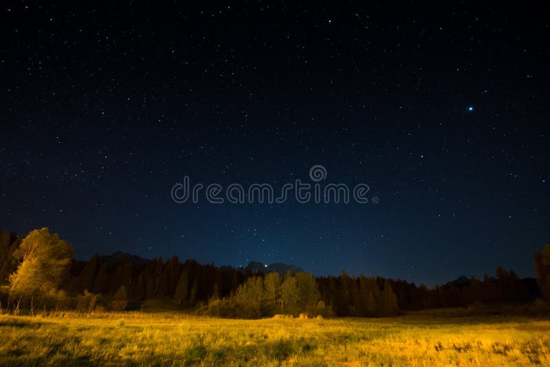 Night Landscape Under Starlight Stock Image - Image of grass, landscape ...