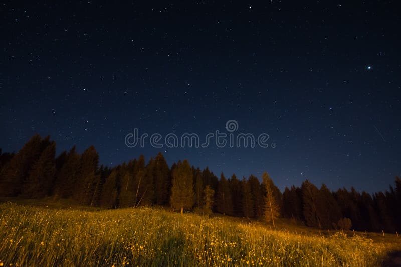 Night Landscape Under Starlight Stock Photo - Image of light, dark ...