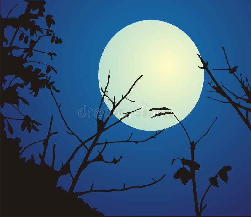 Night Landscape With Trees, Mountains And Full Moon. Vector ...