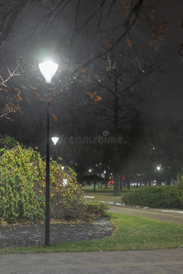 Night Lantern Lights in Park in Snowfall at Night Stock Photo - Image ...