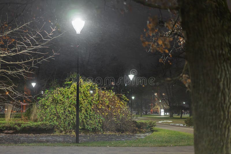 Night Lantern Lights in Park in Snowfall at Night Stock Image - Image ...