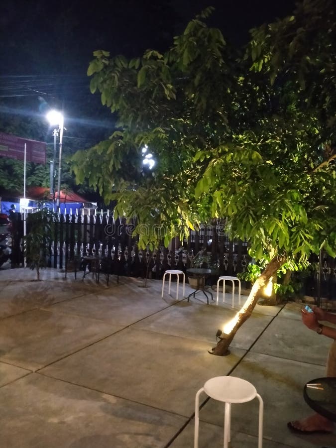 281 Downtown Coffee Shop Night Stock Photos - Free & Royalty-Free Stock ...