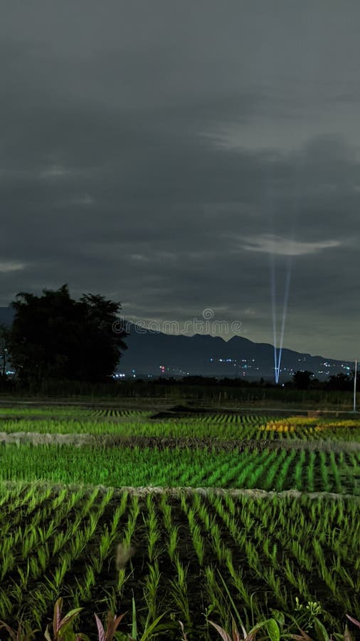 Night light hill stock image. Image of cloud, wind, grass - 266648567