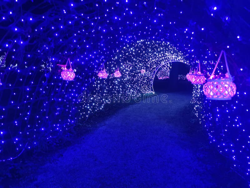 Night Light view stock photo. Image of font, neon, light - 200967750